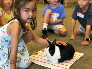 Afterschool Programming At PS 6 - The Art Farm NYC